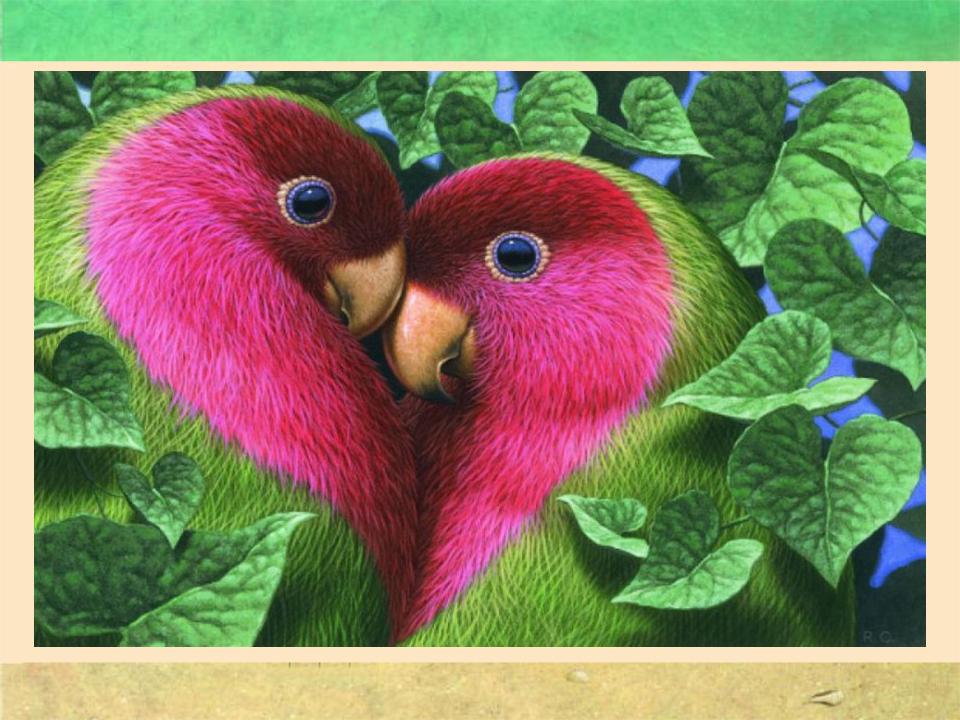 Soloillustratori: Richard Cowdrey