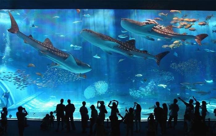 Top 5 world's most famous aquariums - Ye Kya Chutiyapa Hai