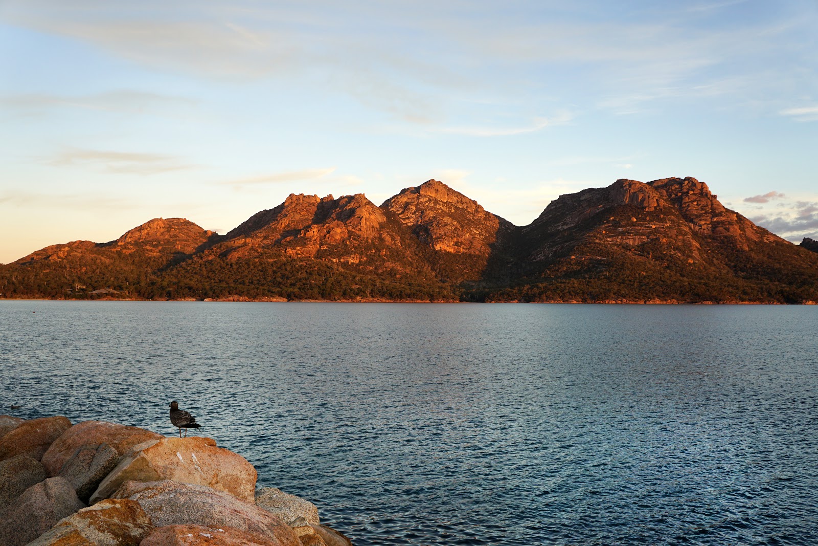 Mt Amos Track (Freycinet National Park) ~ The Long Way's Better