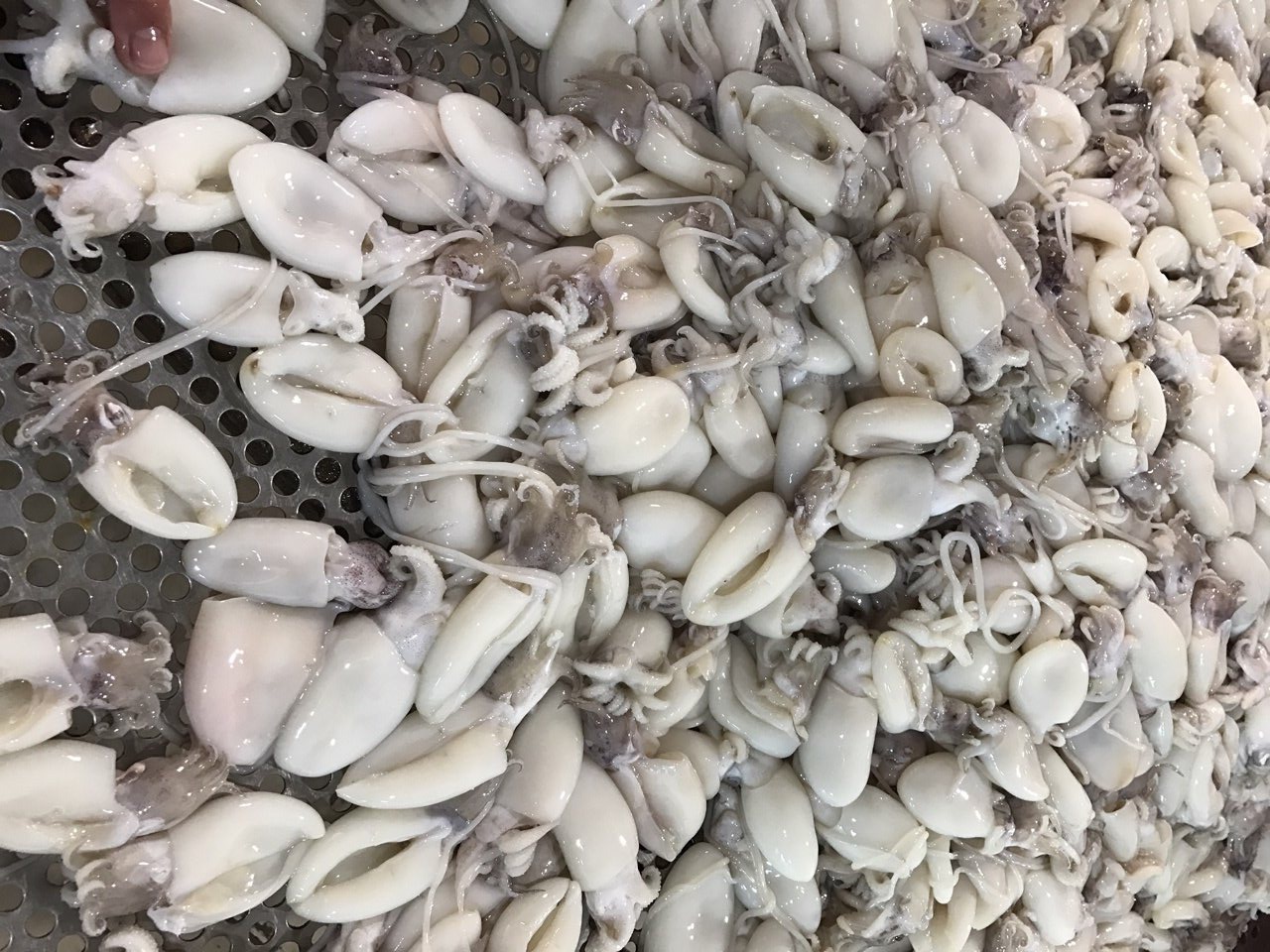 BABY CUTTLEFISH - VIETSEAFOOD CO.,LTD