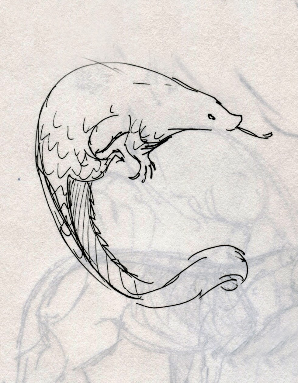 Geoff's Doodles: Joe Weatherly Animal Drawing Workshop - London