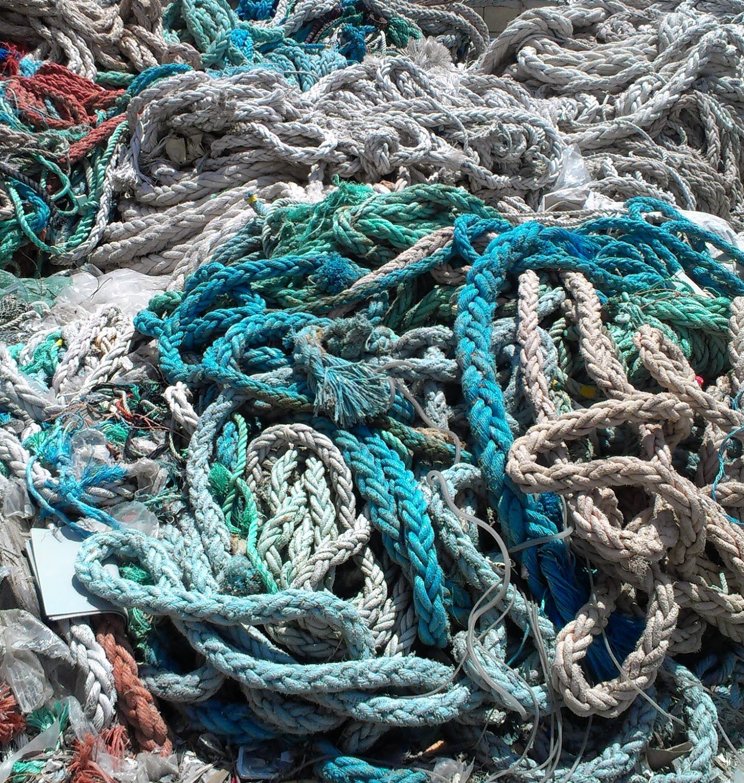 Recycling Plastics: 2016