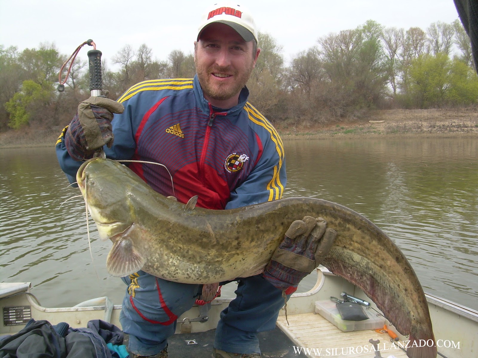 PESCA CON GUÍA DEL SILURO AL LANZADO Y PELLETS CON ALBERTO MILLÁN ...