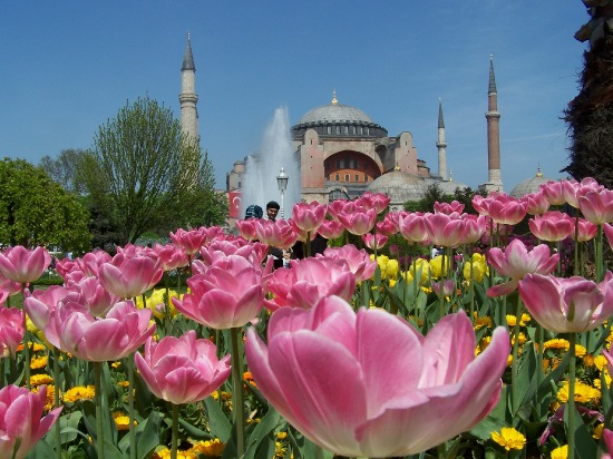 design-dautore: THE ISTANBUL TULIP FESTIVAL