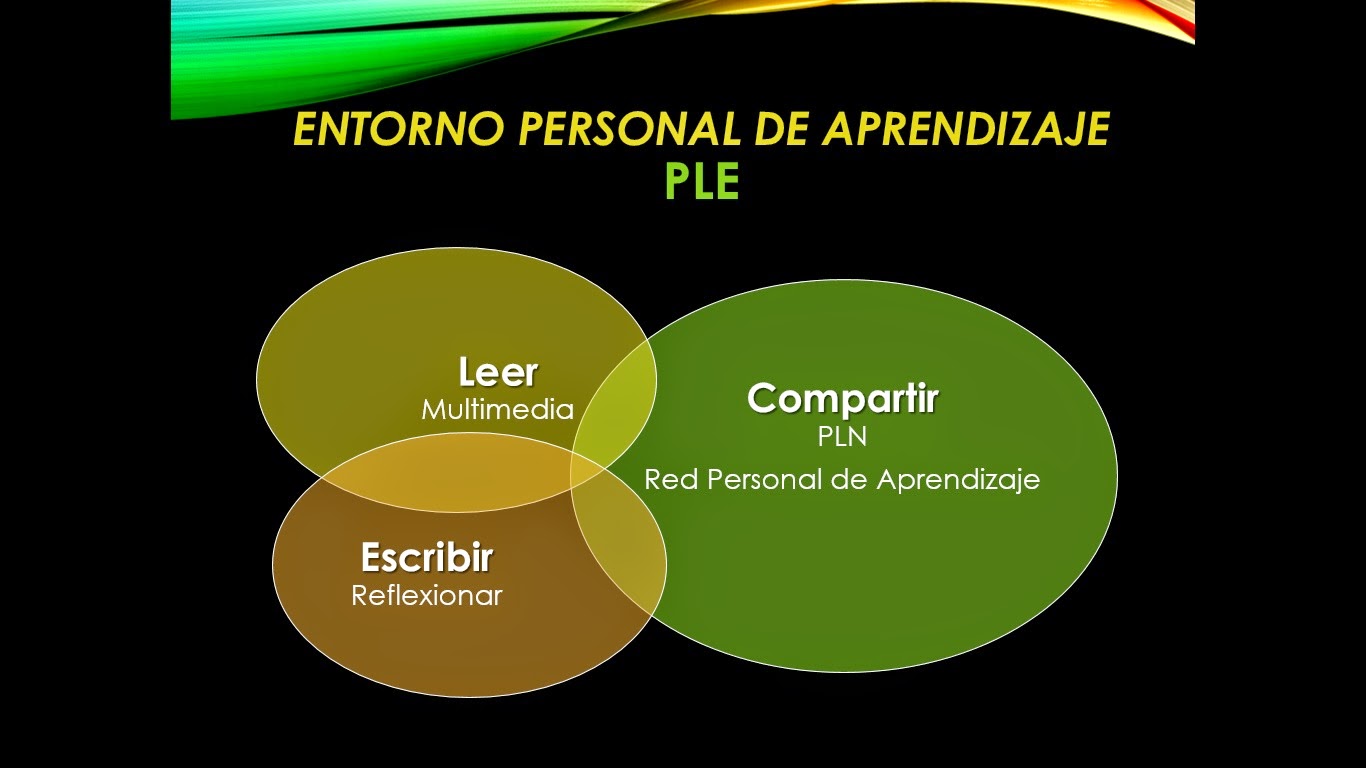 ENTORNOS VIRTUALES DE APRENDIZAJE: ANATOMIA DE MI PLE