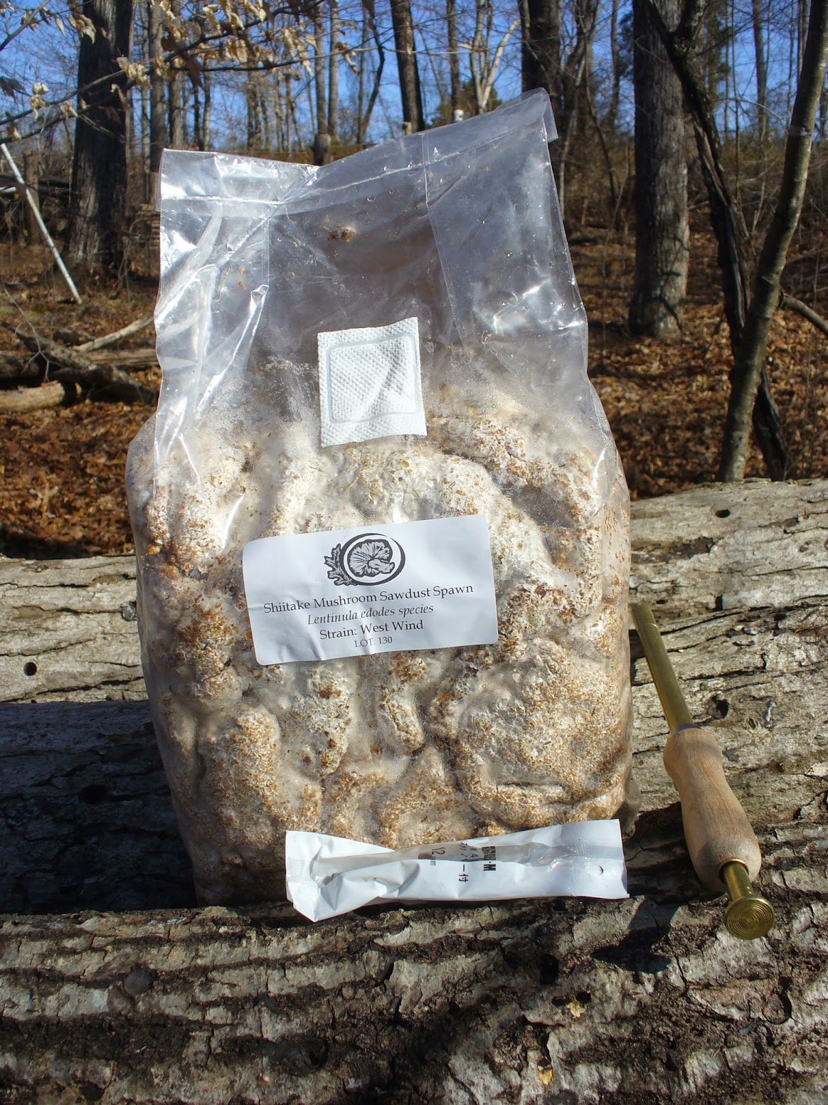 Piedmont Planters: Shiitakes Mushroom Inoculation: Part 1