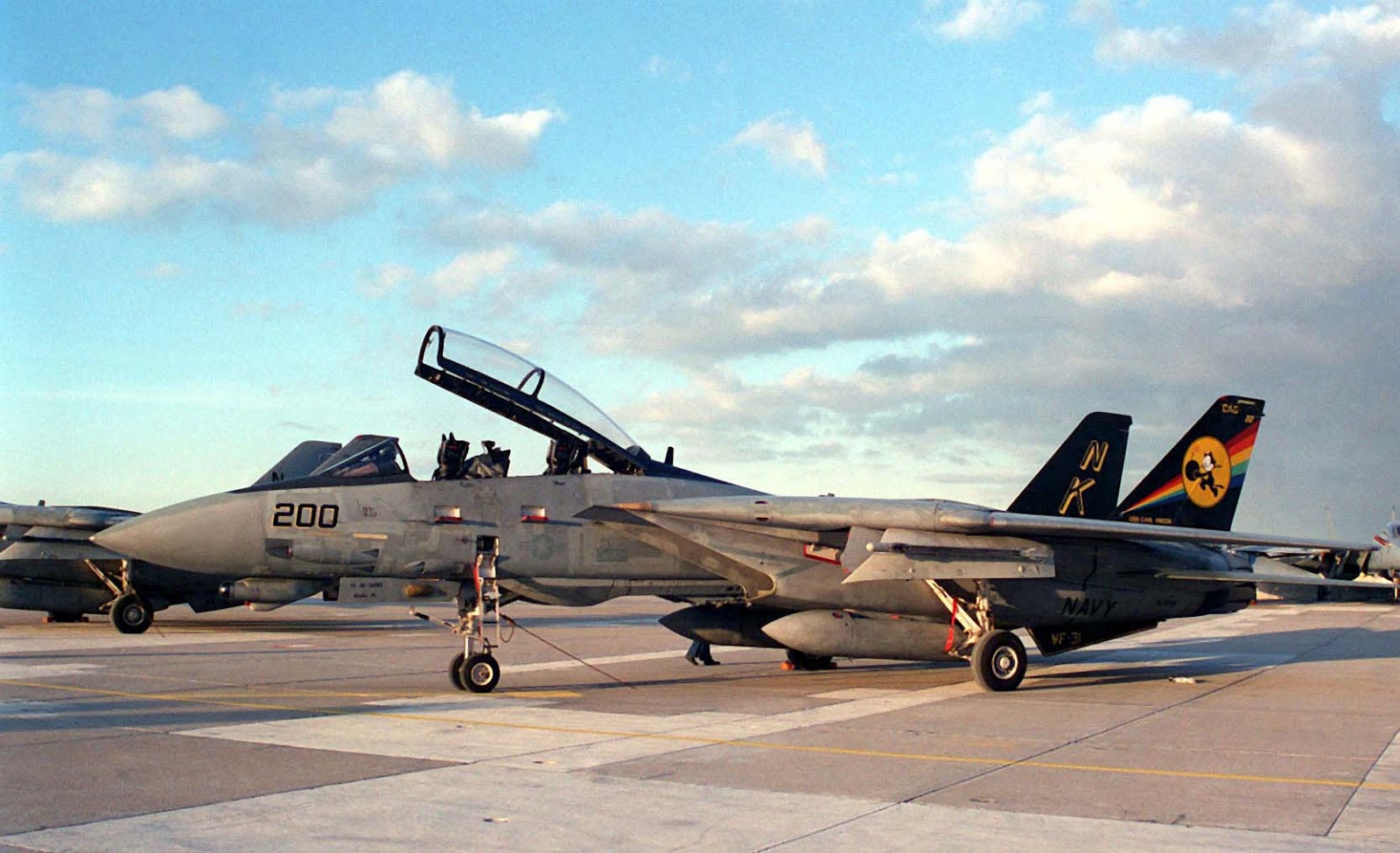 nhungdoicanh: Grumman F-14D Super Tomcat