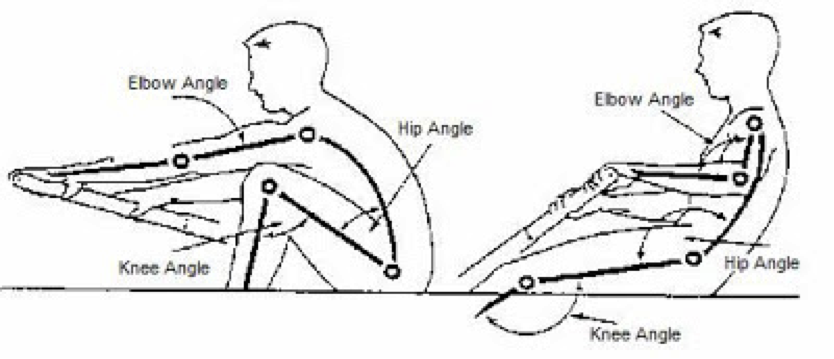 The Biomechanics of Rowing: Biomechanics of the Rowing Stroke by ...