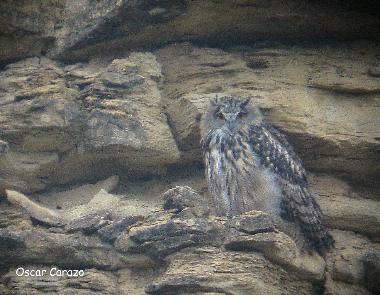 AVESANTURTZI: EL GRAN DUQUE