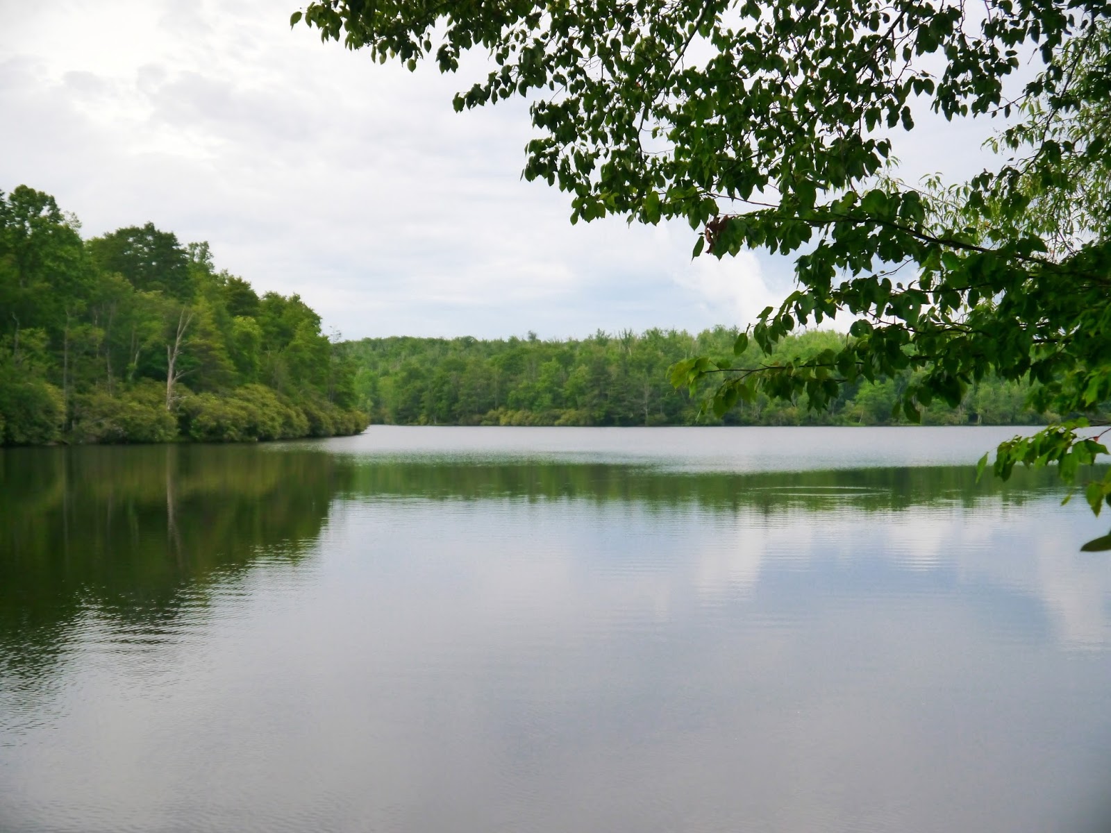 American Travel Journal: Julian Price Memorial Park - Blue Ridge Parkway