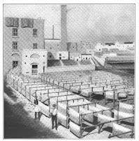 Researching Food History : 1911 Macaroni machine