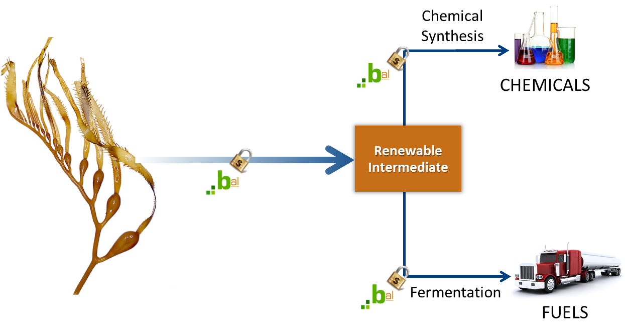 Technology to Efficiently Convert Seaweed to Renewable Fuels and ...