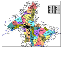 Un mundo de experiencia: PLAN DE ESTUDIO GRADO PRIMERO 2013