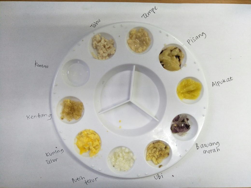Uji karbohidrat menggunakan metode iodin