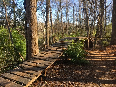 blazeCLT: Back Yard Trail