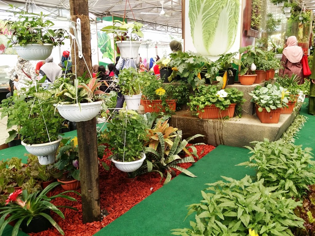 MPV LANDSKAP DAN NURSERI: TAMAN SAYUR DI MAHA 2014
