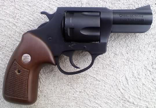 The American Cowboy Chronicles: Charter Arms Bulldog .44 Special