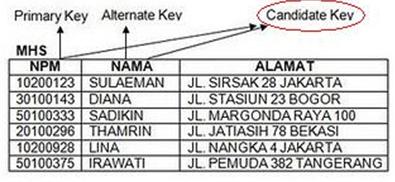 Sistem Basis Data: Jenis Atribut Tabel