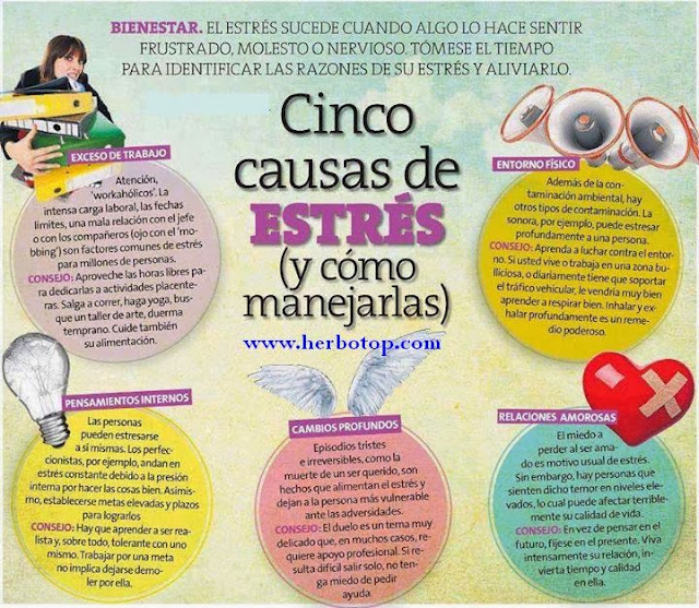 Factores Psicosociales Generadores de Estrés Laboral ¡En la Actualidad ...