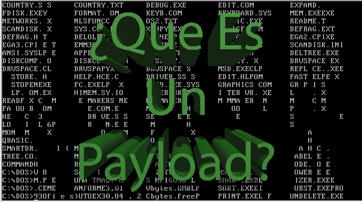 ¿ que es un payload?