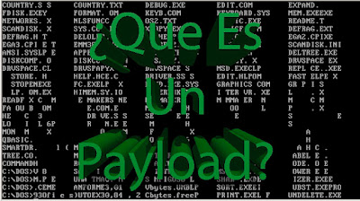 ¿ que es un payload?