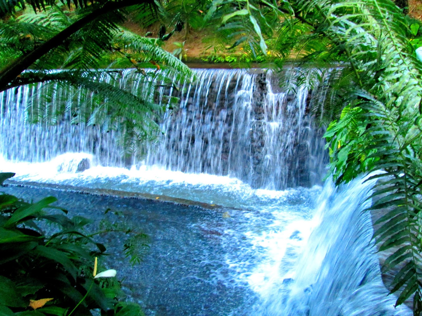 bato springs resort - philippin news collections