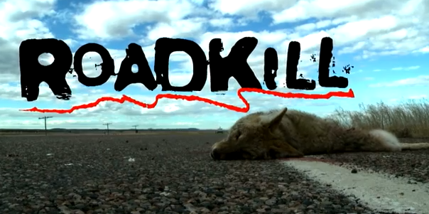 School of Hot Rod: ROADKILL "Release The Draguar"