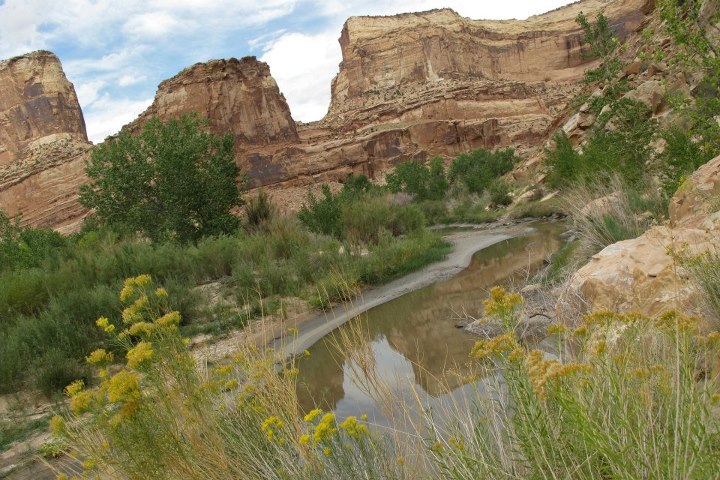 Red Rock Adventures: San Rafael River backpack