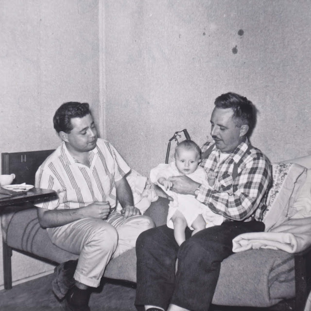 Standing Into Danger: The Lansdowne Letters: Swan Song