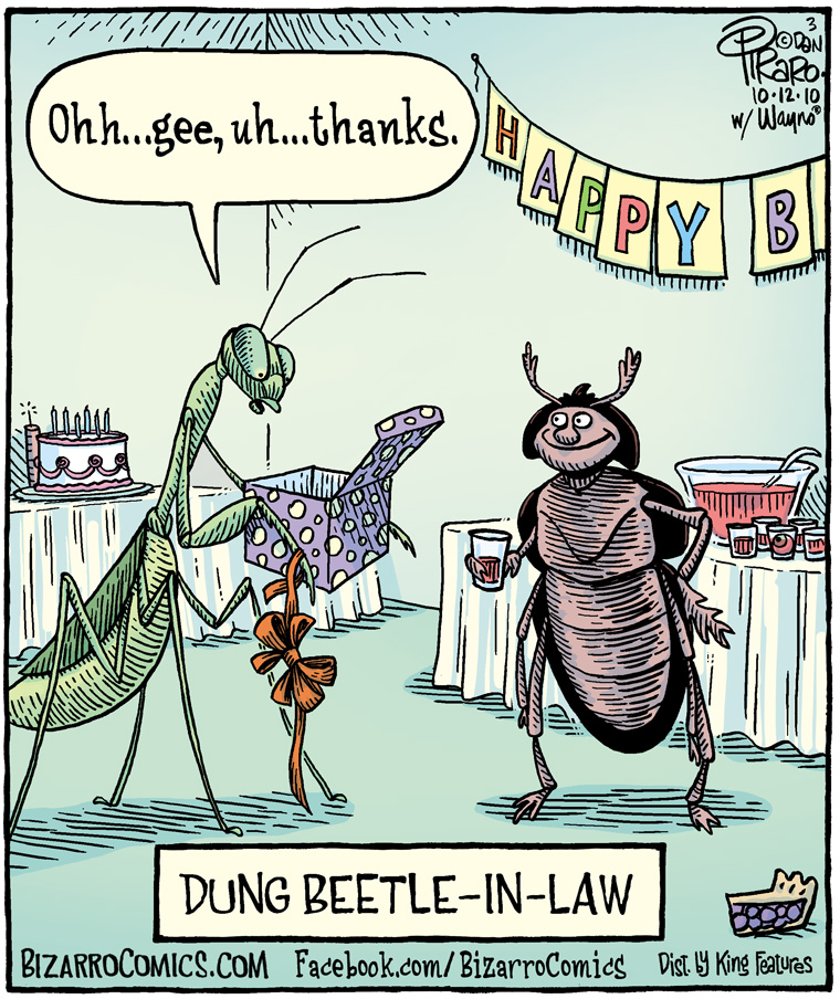 WaynoBlog: Birthday Bug
