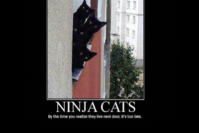 Ninja Motivational Posters | Unmotivational Posters - Demotivational ...