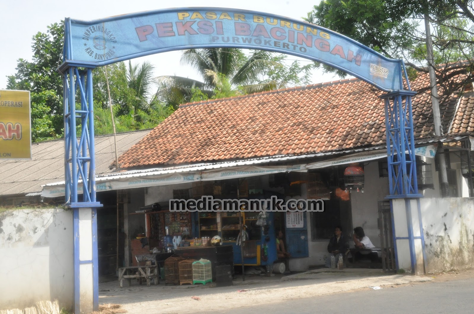 Pasar Burung Peksi Bacingah Purwokerto Akan di Perluas dan Menjadi Dua ...