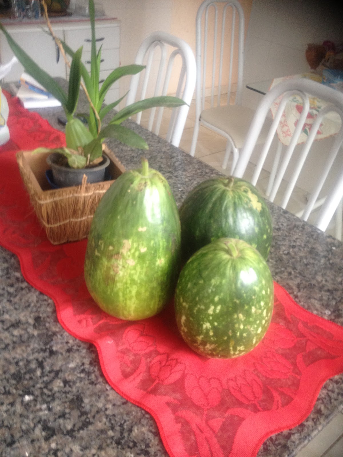 Plebeu, tributo à irreverência: Nilton Del Valle e o CAXI.