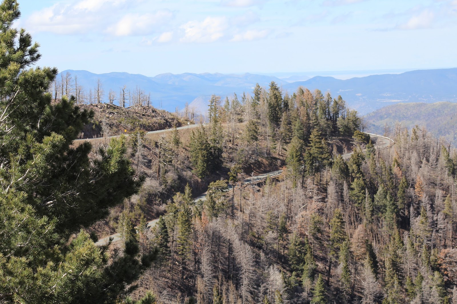 Restless Wilson's: Tall Mountains and the Real Rolling Turd