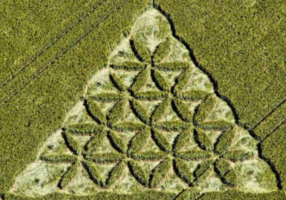 FUN TO BE BAD: Crop Circles in a Washington Wheat Field