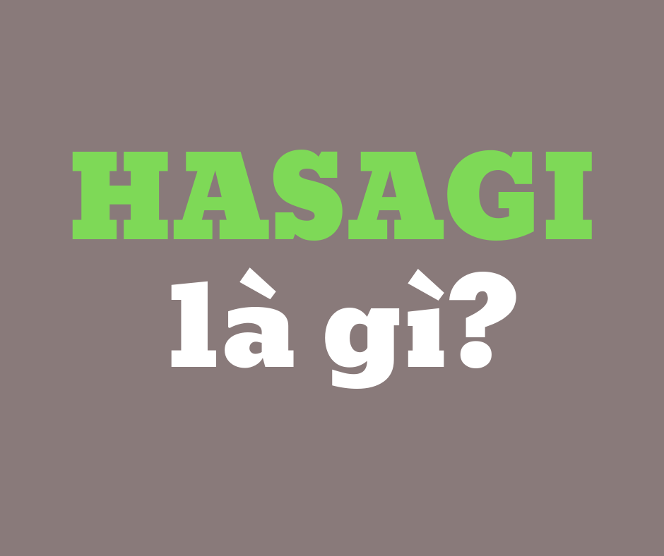 Hasagi là gì? Ý nghĩa của từ hasagi - Dịch Nghĩa Online