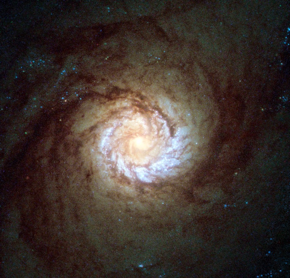 NASA Astronomy: Hubble View: A Hungry Starburst Galaxy