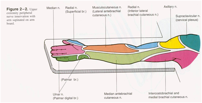 Regional Anesthesia Manual—upper extremity blocks ~ Dentistry and Medicine
