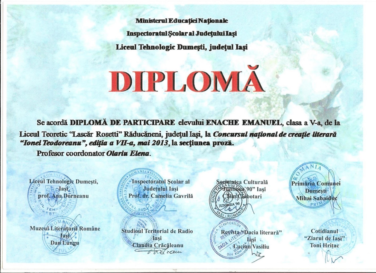 Scrieri cu... cap: diplome concursuri noi 2013