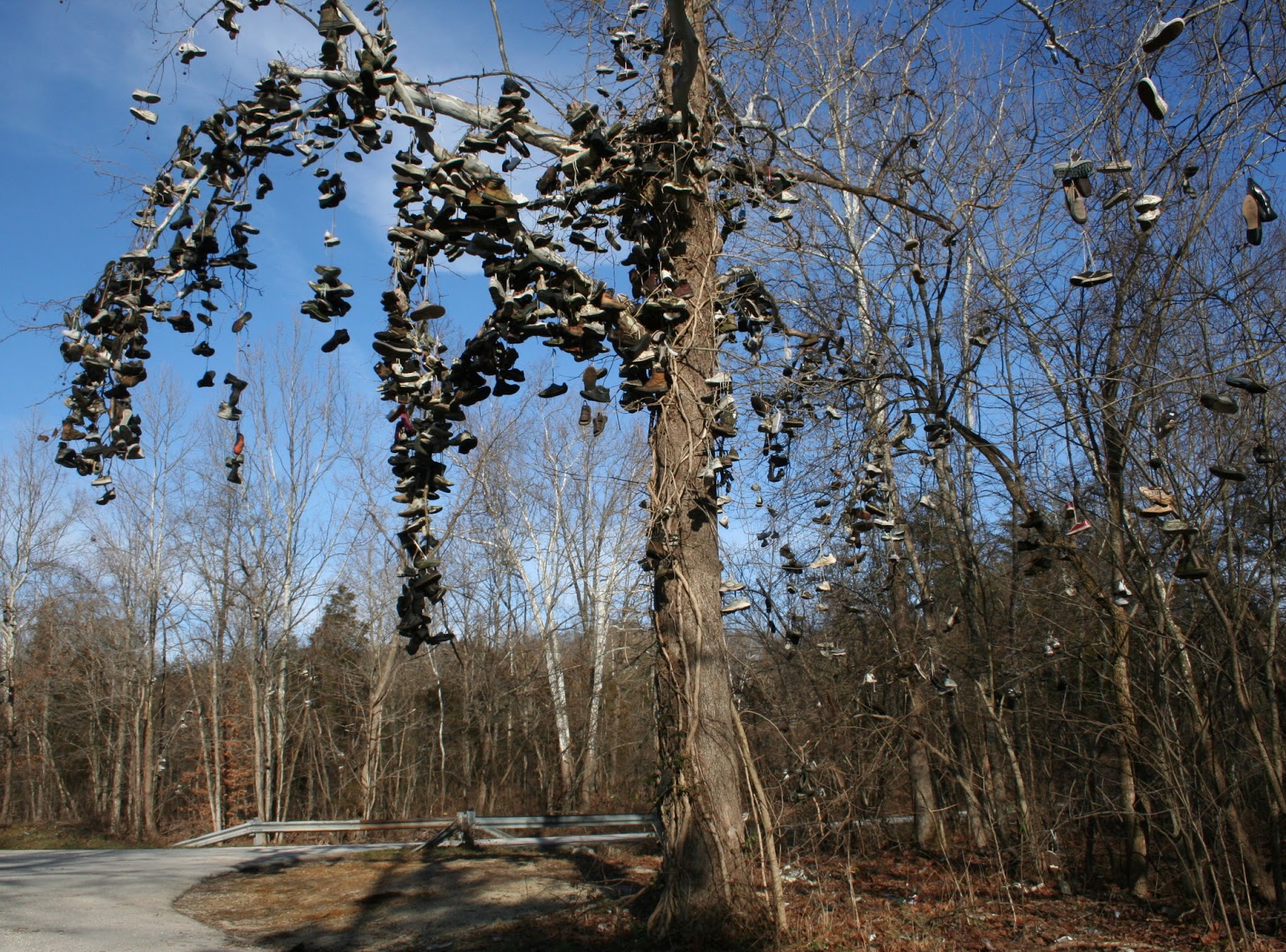 The Carpetbagger: My Quest for a Shoe Tree