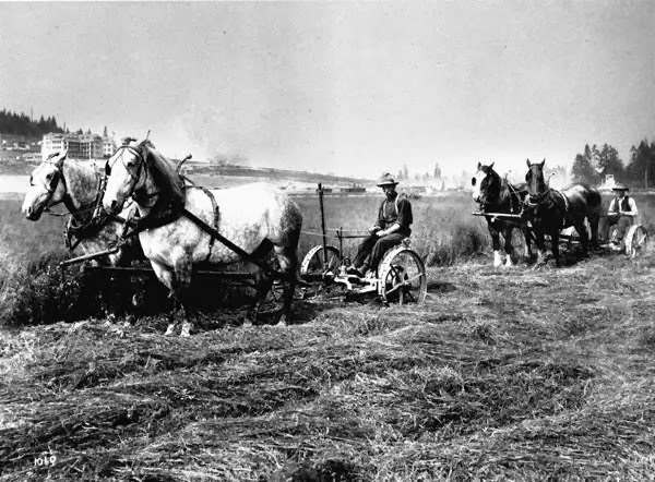 Colony Farm past -- present -- future: A few pictures from the ...