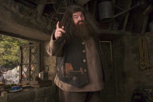 THE GRANDMA'S LOGBOOK ---: RUBEUS HAGRID, STRONG HONESTY AND LOYALTY