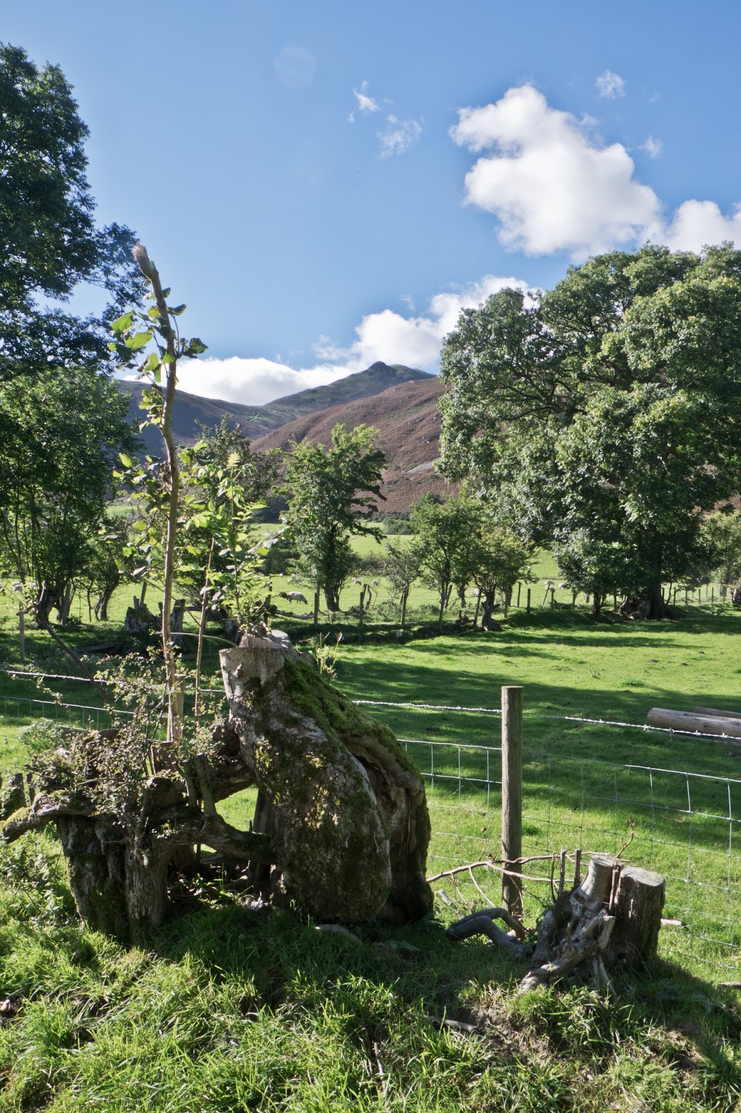 Wigtwizzle - Norman Smith's Travel Blog.: Newlands Valley and a pint in ...