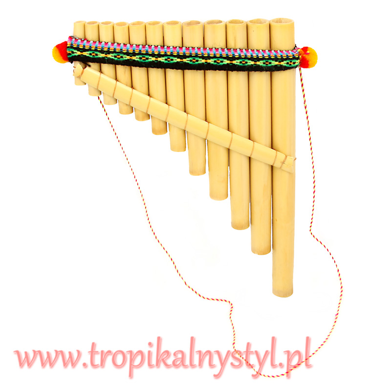 INSTRUMENTY ETNICZNE Z AMERYKI POŁUDNIOWEJ: INSTRUMENTY ETNICZNE