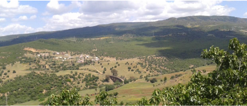 SOUK-AHRAS-BIENVENU SUR LE BLOG DES ENFANTS DE THAGASTE LE SITE DES ...