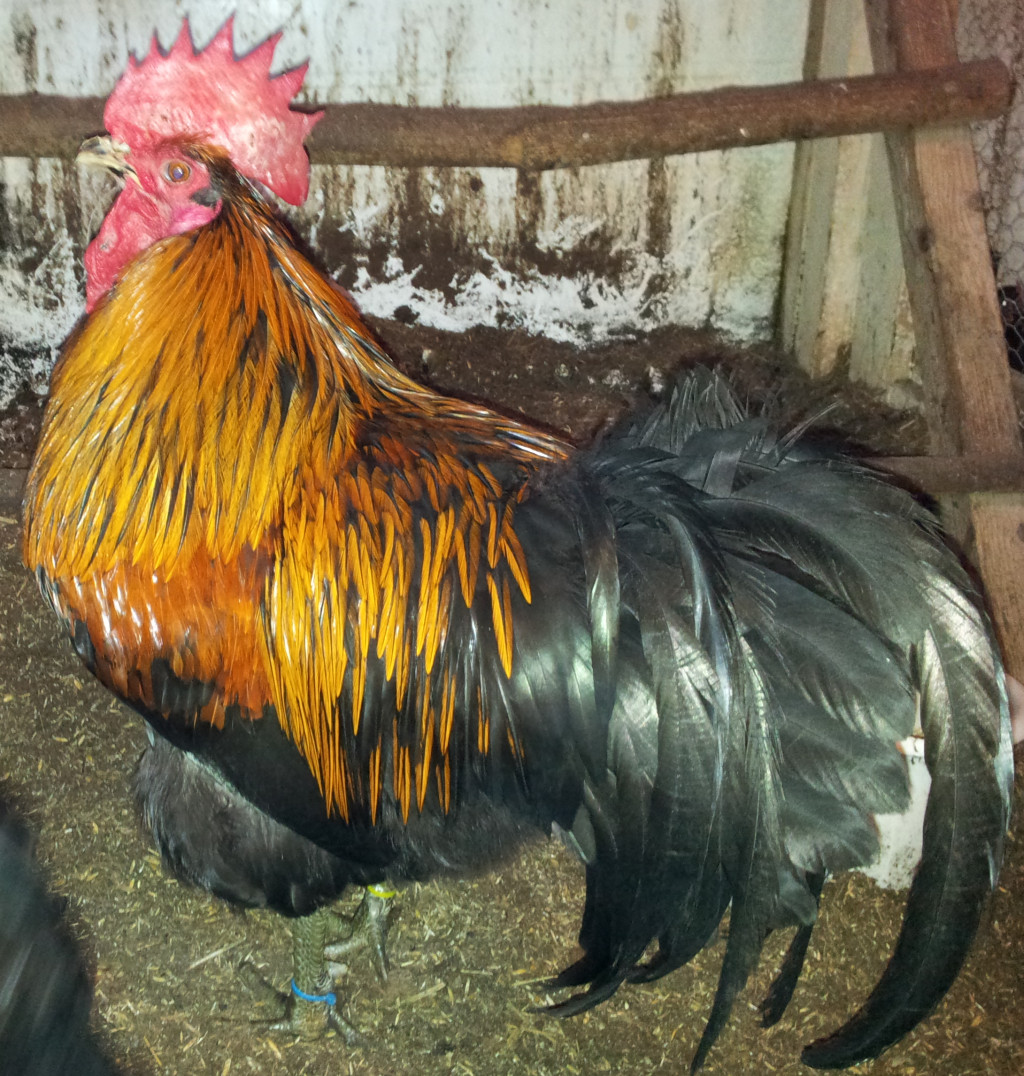 TUOHIMUTKAN KANALA: elokuuta 2013