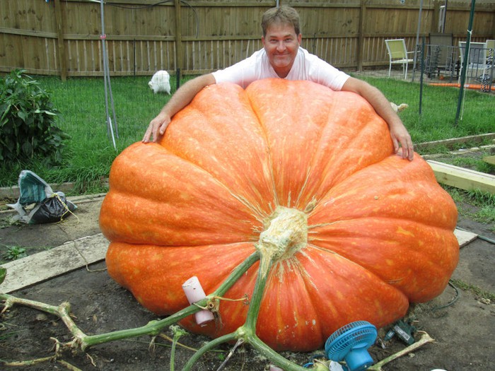 OMG! Inilah Penampakan 10 Buah dan Sayur-Sayuran Raksasa Terbesar dan ...