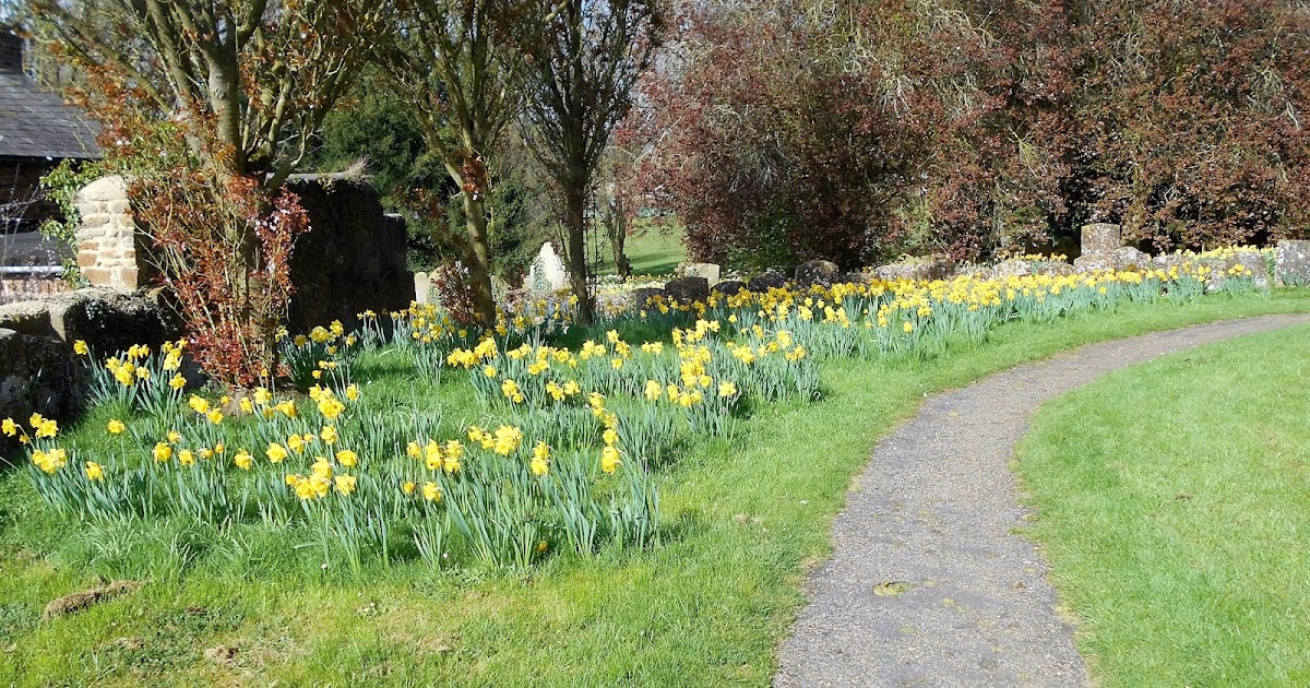 Tony's Blog: Holy Cross churchyard, Byfield