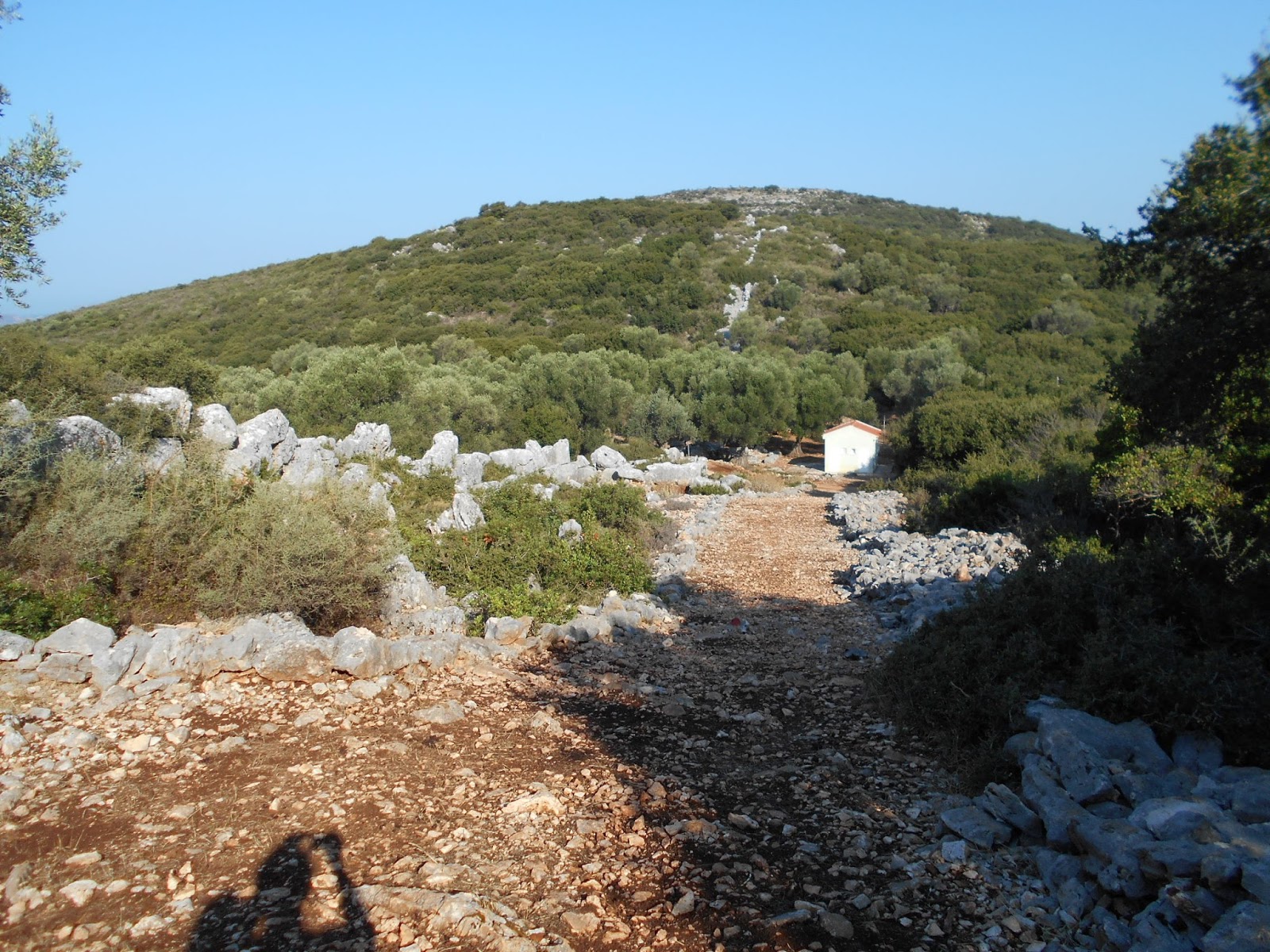 Pizza Fichi e Zighinì: Cefalonia dal fascino misterioso