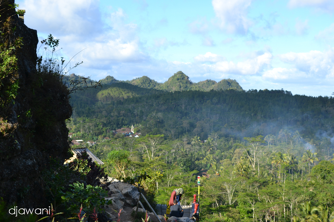 Hutan Pinus Kalilo Menikmati keindahan Hutan Pinus Di Purworejo - Wisata ku